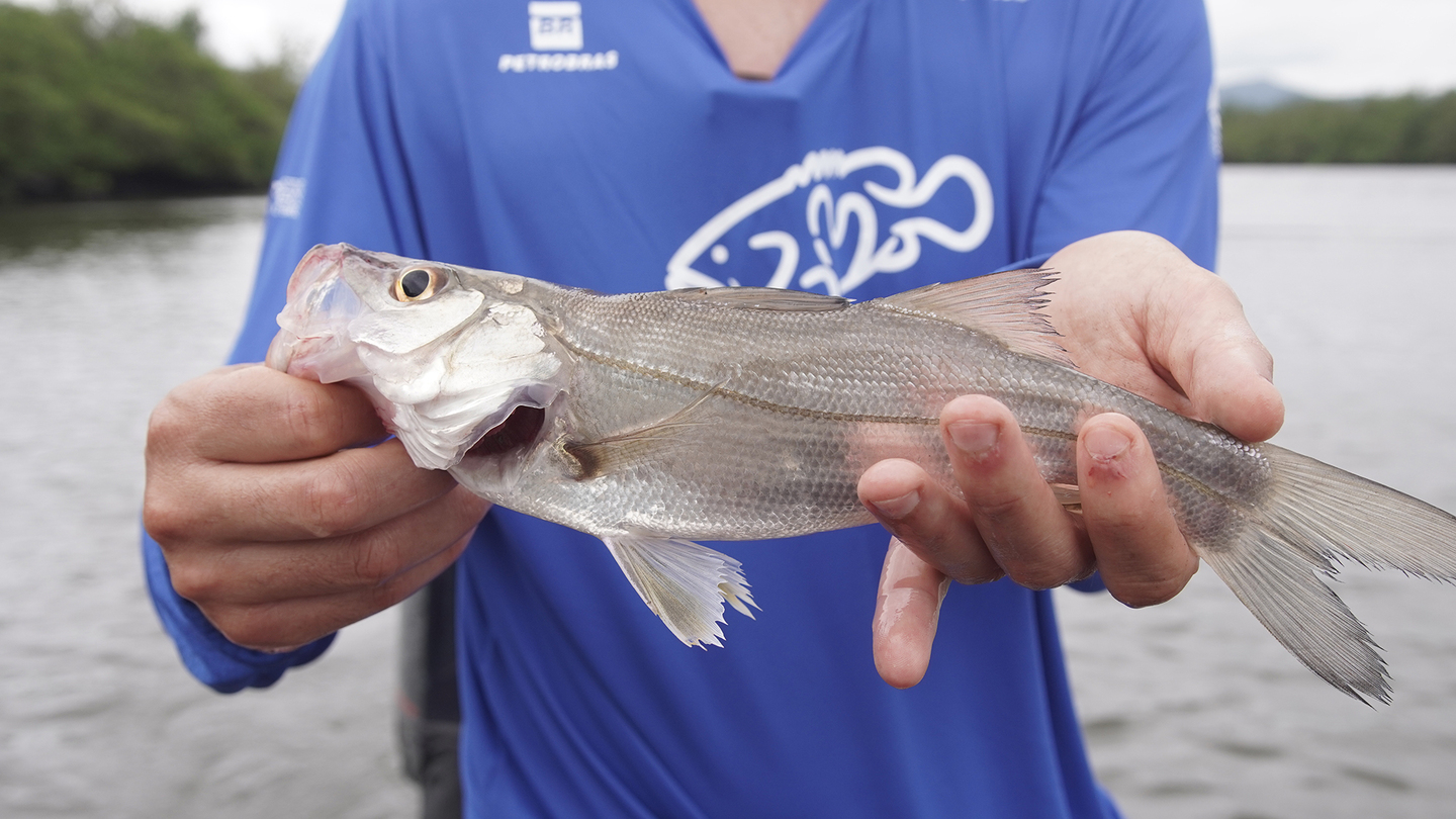 Lançado guia gratuito de boas práticas de pesca esportiva - Lugares ECO