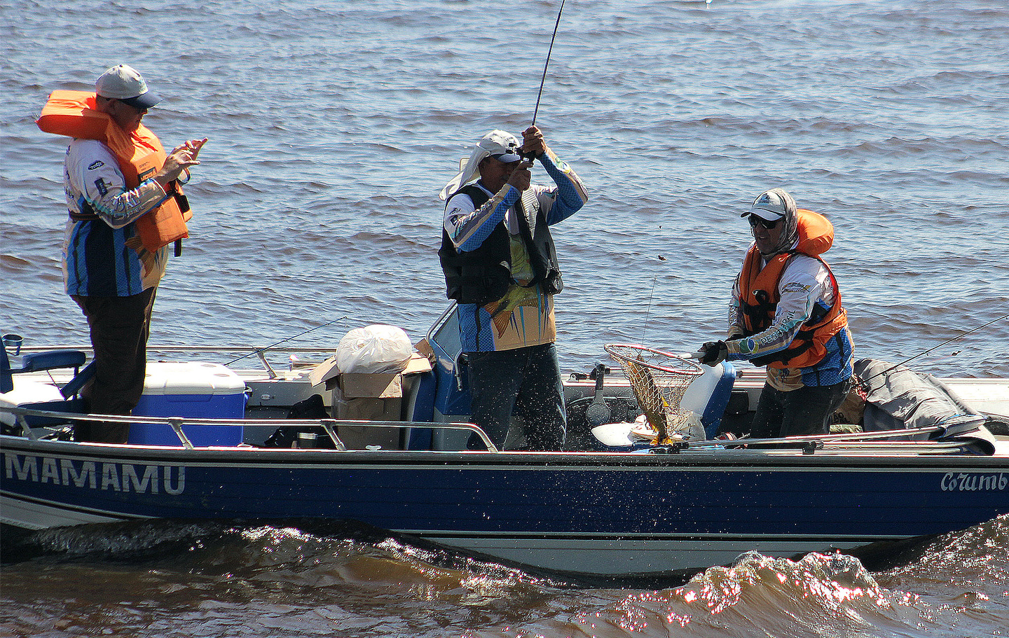 DOURADO É O MAIS FISGADO NO FESTIVAL DE PESCA DE CORUMBÁ - Lugares ECO