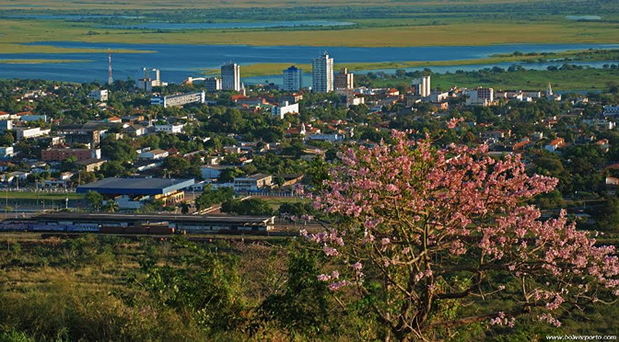 Corumbá busca recuperar a degradada arborização urbana - Lugares ECO