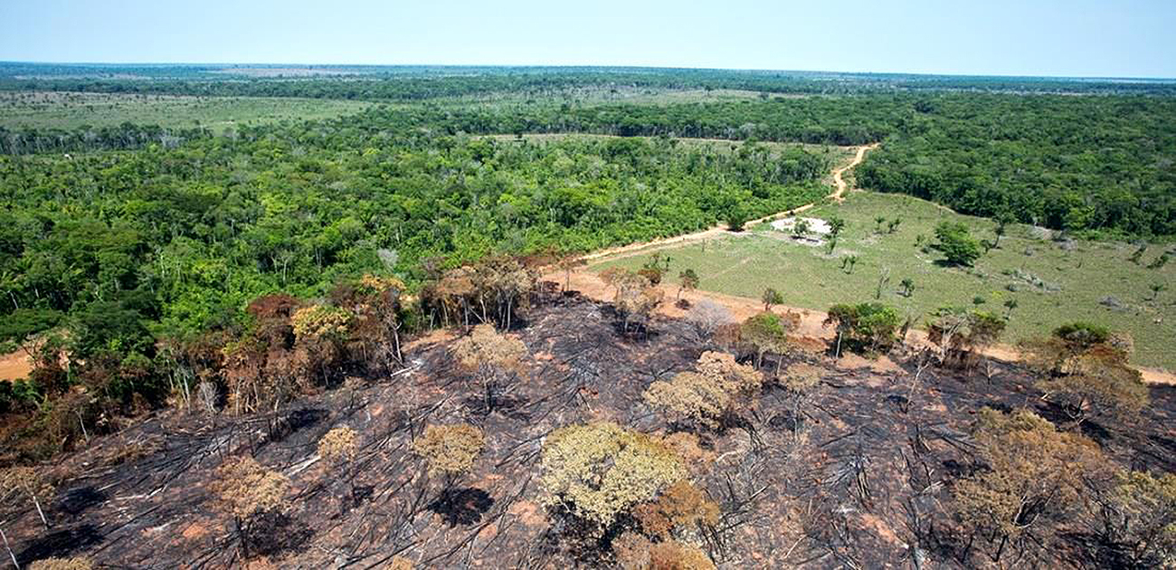 FRAGMENTOS MENORES QUE 50 HECTARES RESPONDEM POR 97% DA MATA ATLÂNTICA ...
