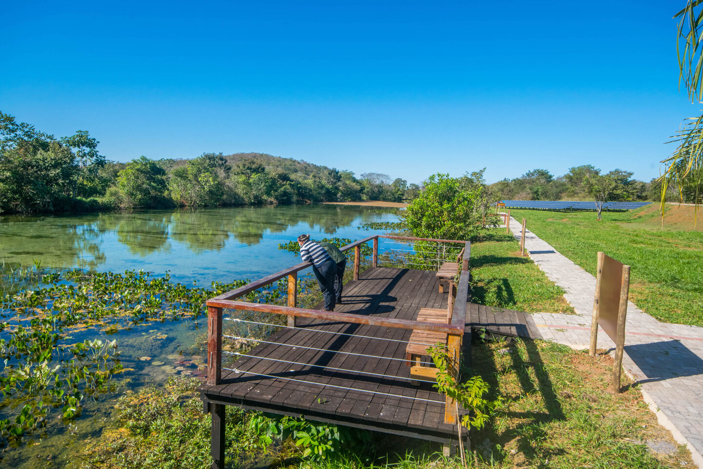 NASCENTE AZUL, UM MERGULHO NA NATUREZA E AVENTURA DE TIRAR O FÔLEGO ...